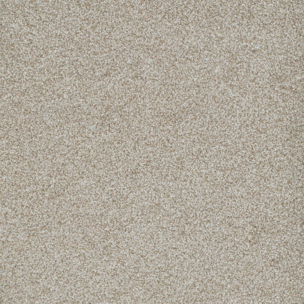 Masland – Worldwide Flooring Design Center